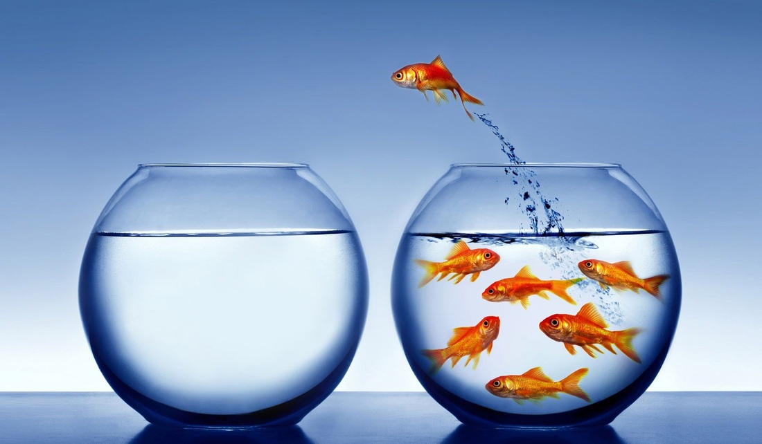 How To Separate Yourself From The Competition